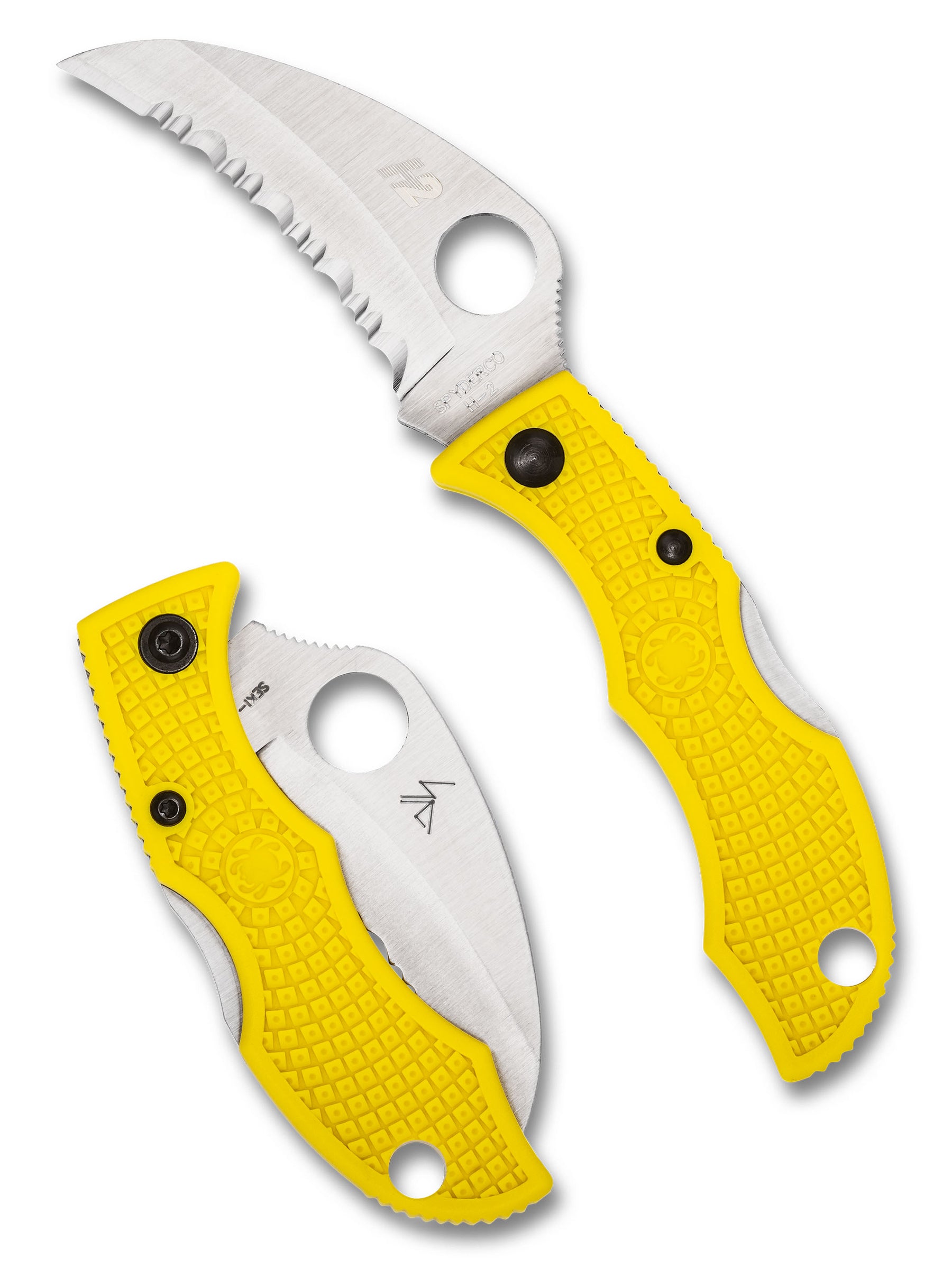 Ladybug® 3 Salt® – Spyderco